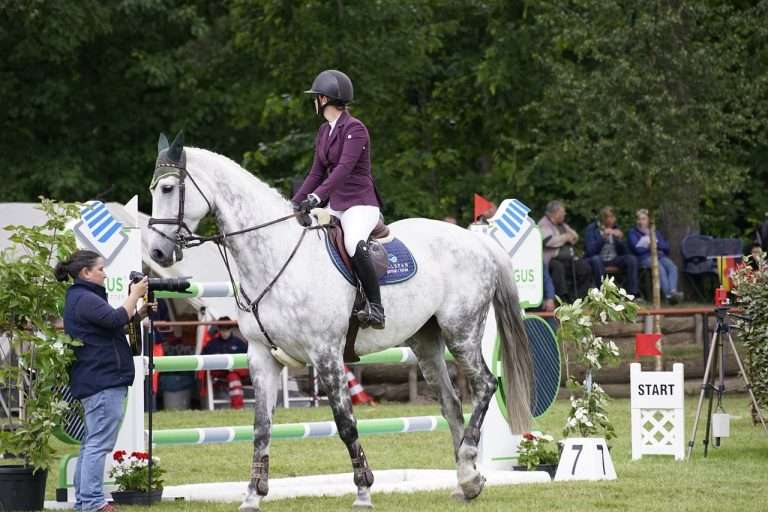 A Beginner’s Guide to Horse Shows and Competitions - Horse lovers With ...